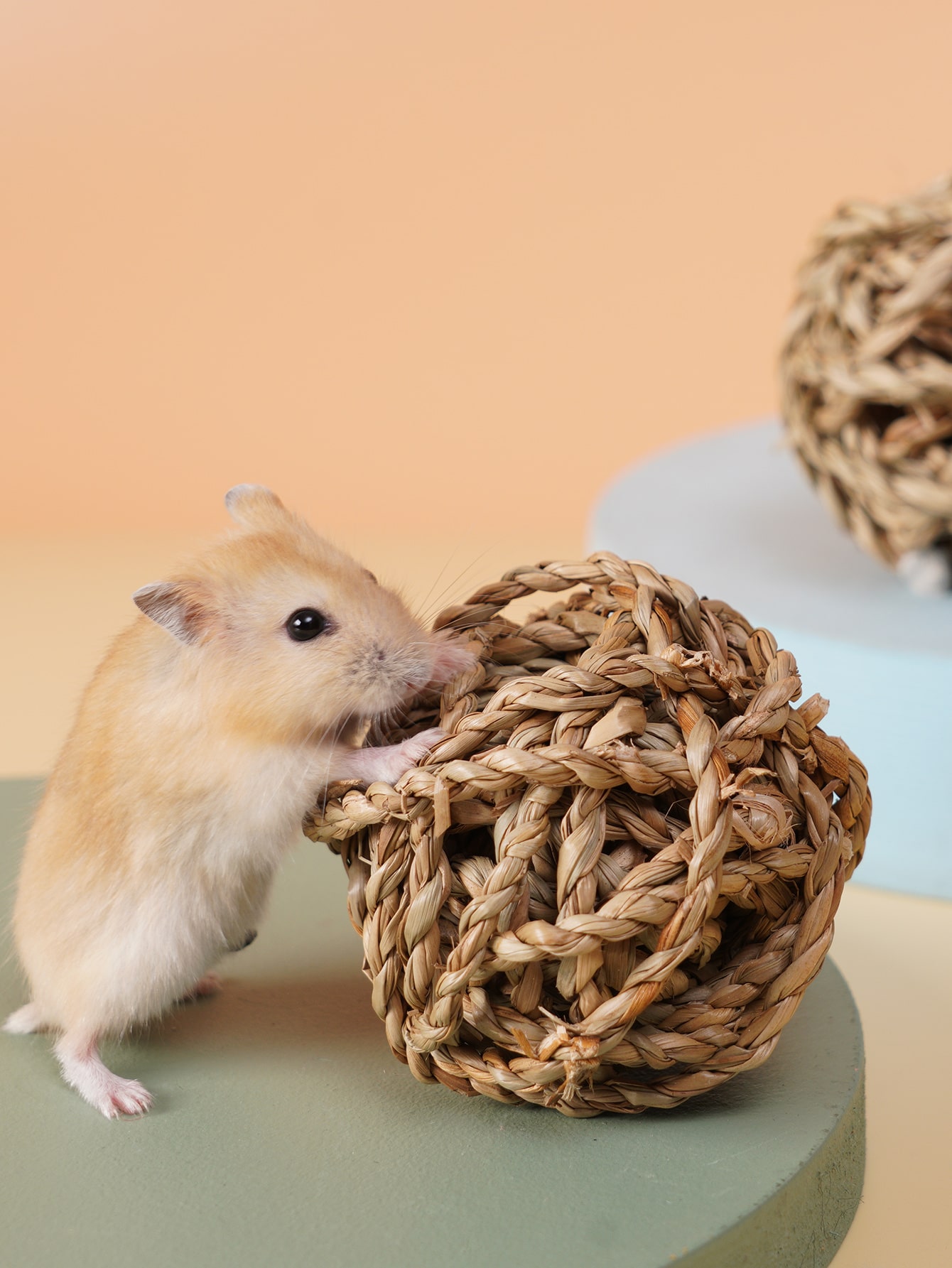 2pcs Pet Chew Toy Ball Set