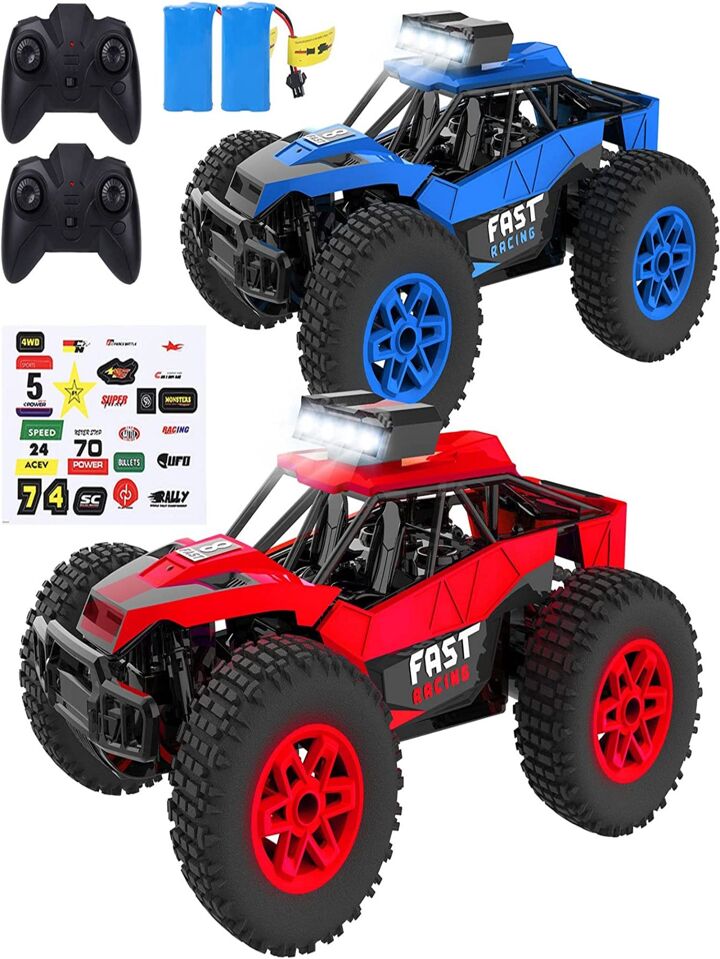 Remote Control Race Cars For Adults