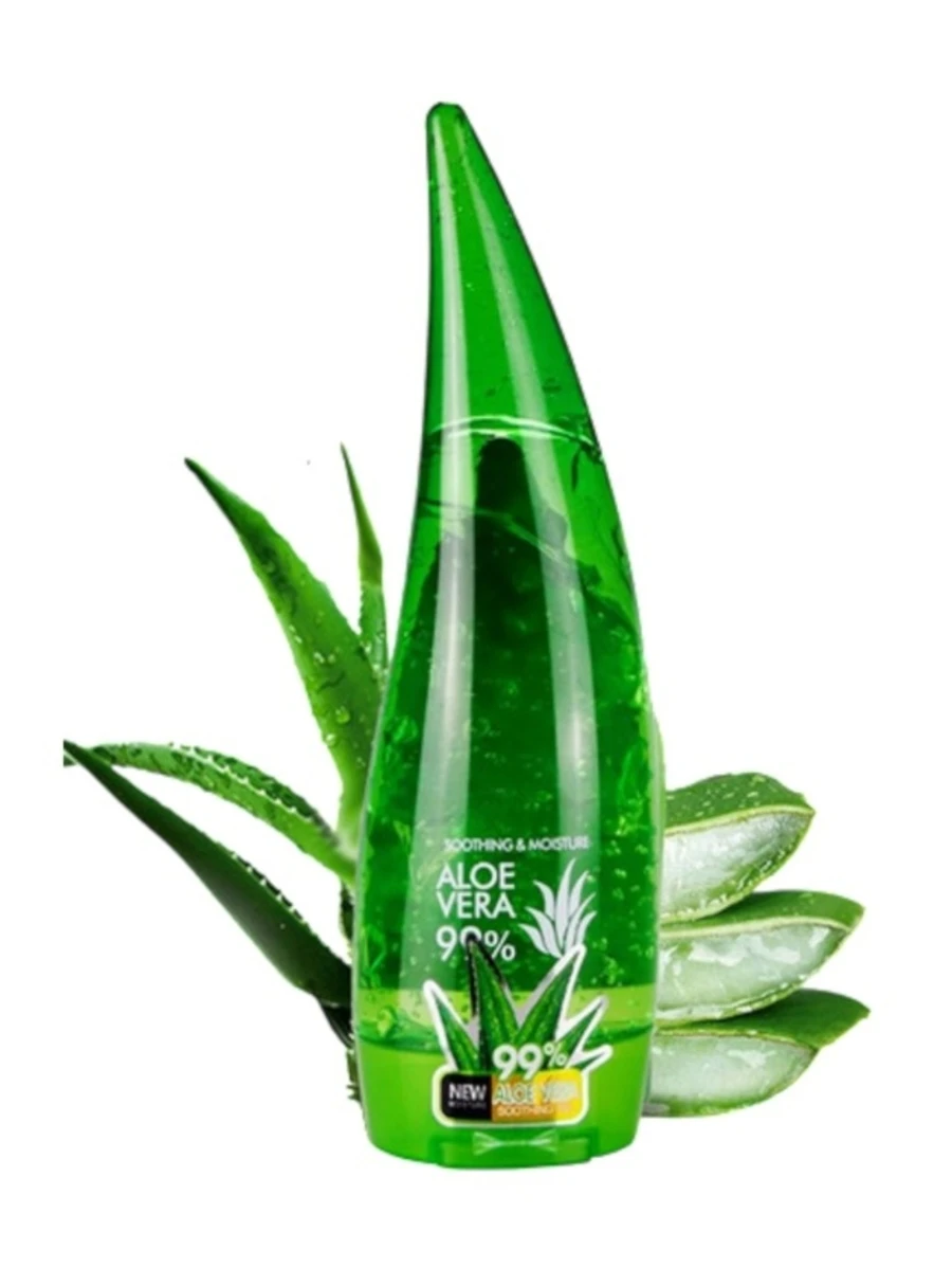 A LITTLE OF EVERYTHING Moisturizing Aloe Vera Gel Large Aloe Vera ...