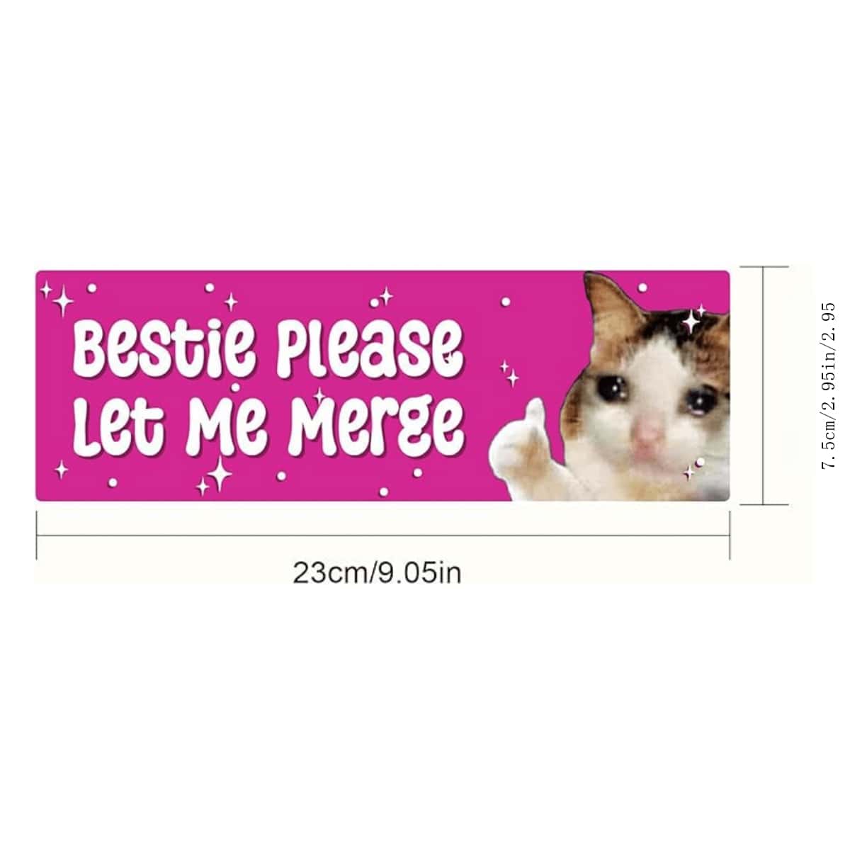 Set Of 10 Sad Cats Decal Sad Cats Besties Cute Magnets Home And Office ...