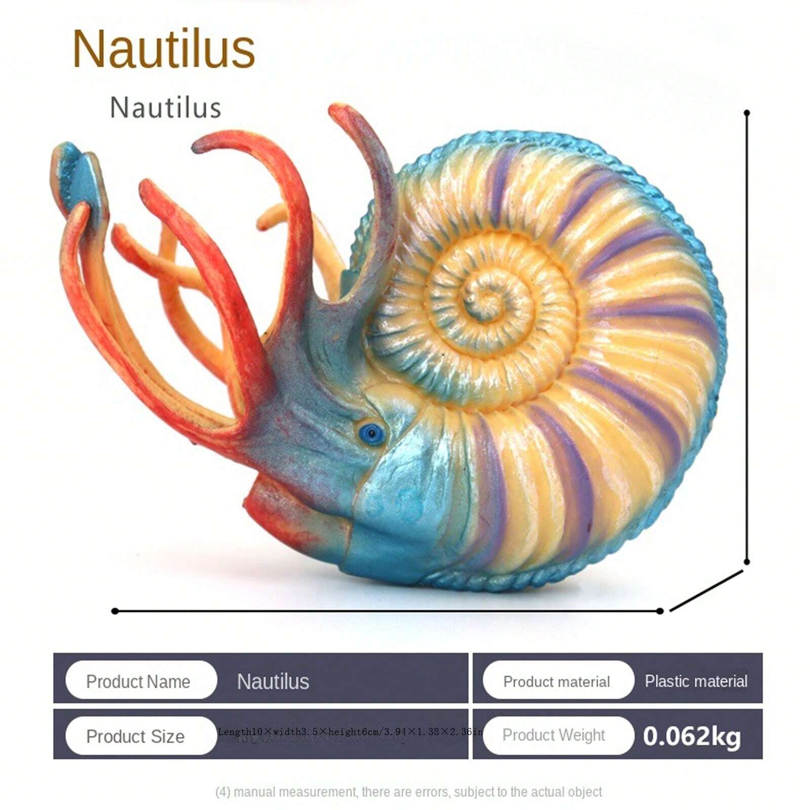 Realistic Prehistoric Parrot Shell Fossil Ammonite Model Toy Solid ...