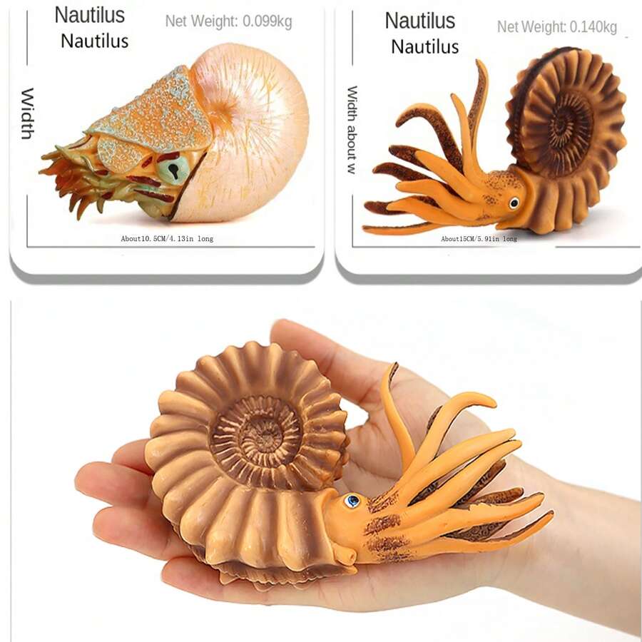 Simulation Ancient Prehistoric Creatures Parrot Shell Extinct Organism ...