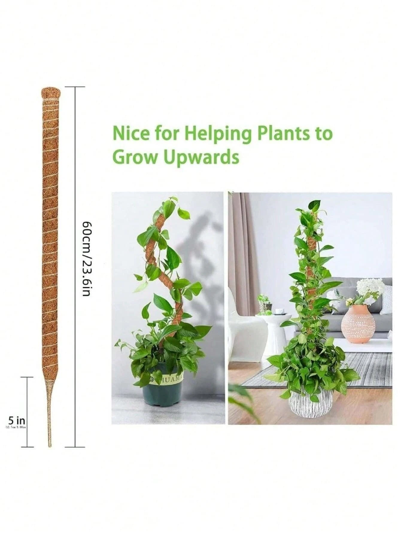Moss Poles, 23.6-Inch Bendable Plant Poles For Growing Houseplants Up ...