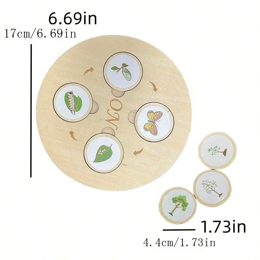Wooden Life Cycle Board Montessori Kit, Circular Cognition Of Growth ...