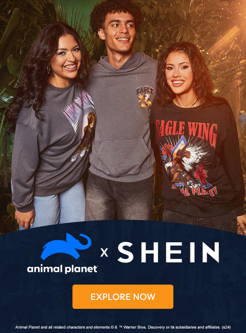 Save Money. Live in Style - Shop Fashion, Beauty, Home & More | SHEIN ...