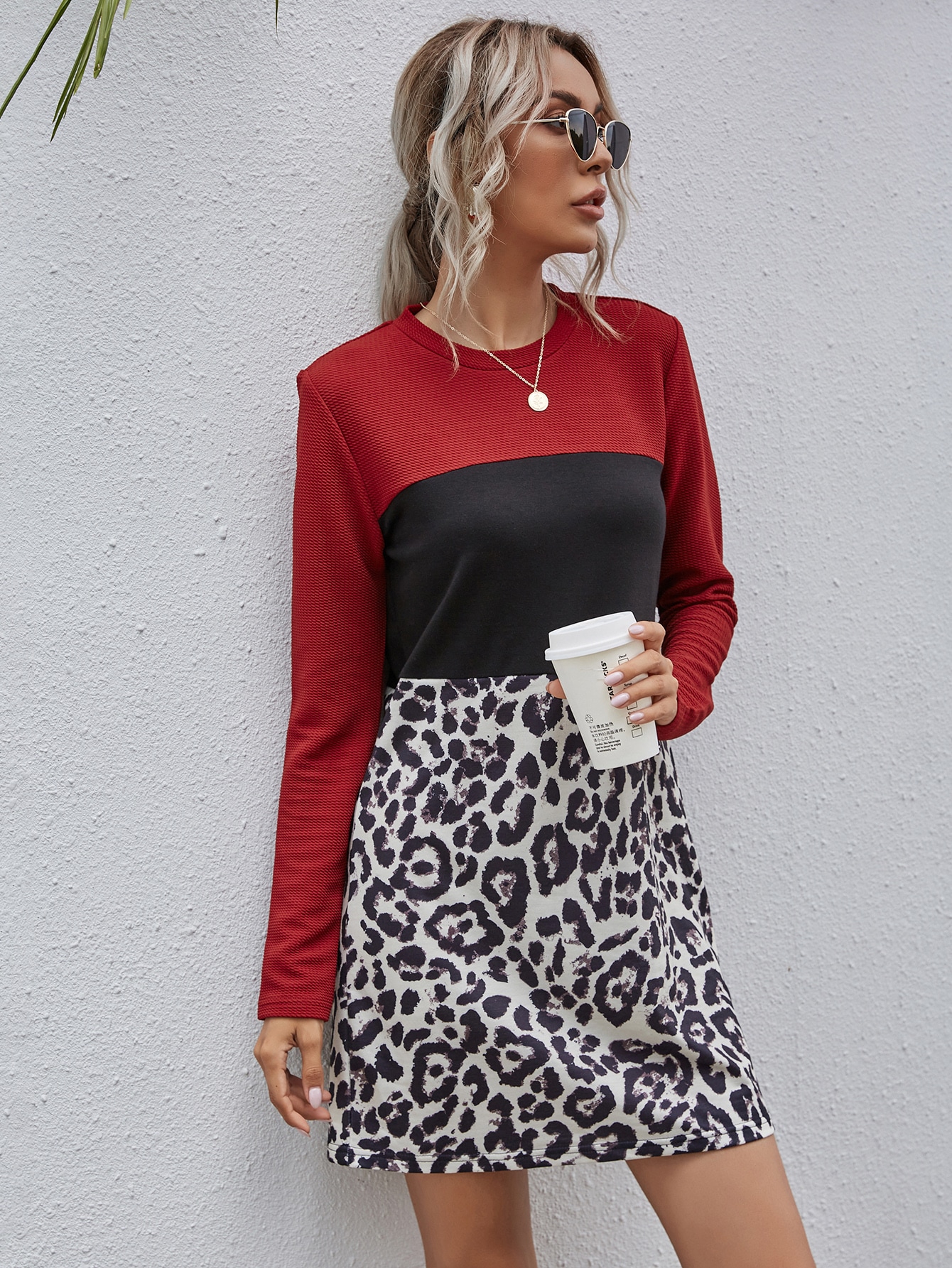 Leopard Print Color Block Dress