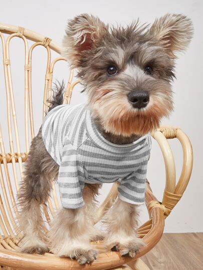 Pet Clothing | Fashion Pet Clothing | SHEIN USA