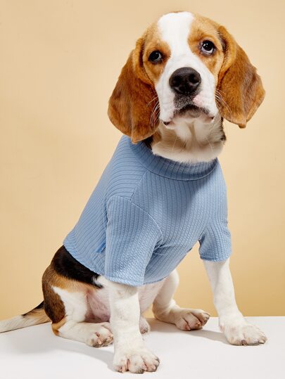 Ropa para Mascotas | Moda Ropa para Mascotas | SHEIN España