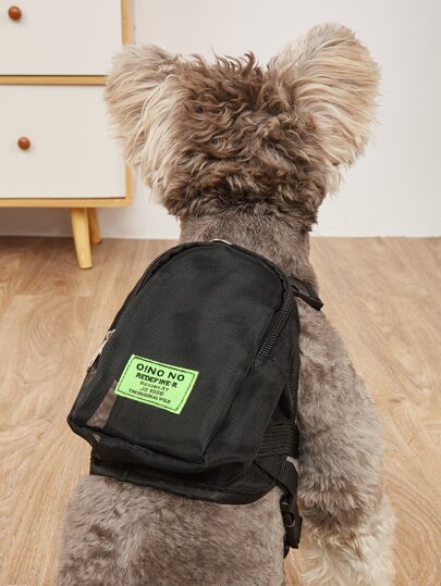 Shop Pet Accessories | Trendy Fashion | SHEIN USA