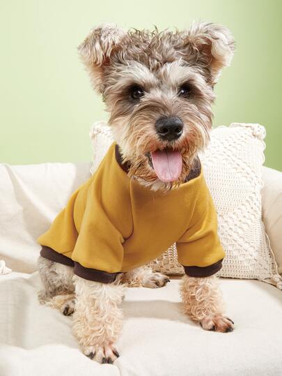 Sudaderas para Mascotas | Colección Online de Nuevas Tendencias | SHEIN ...