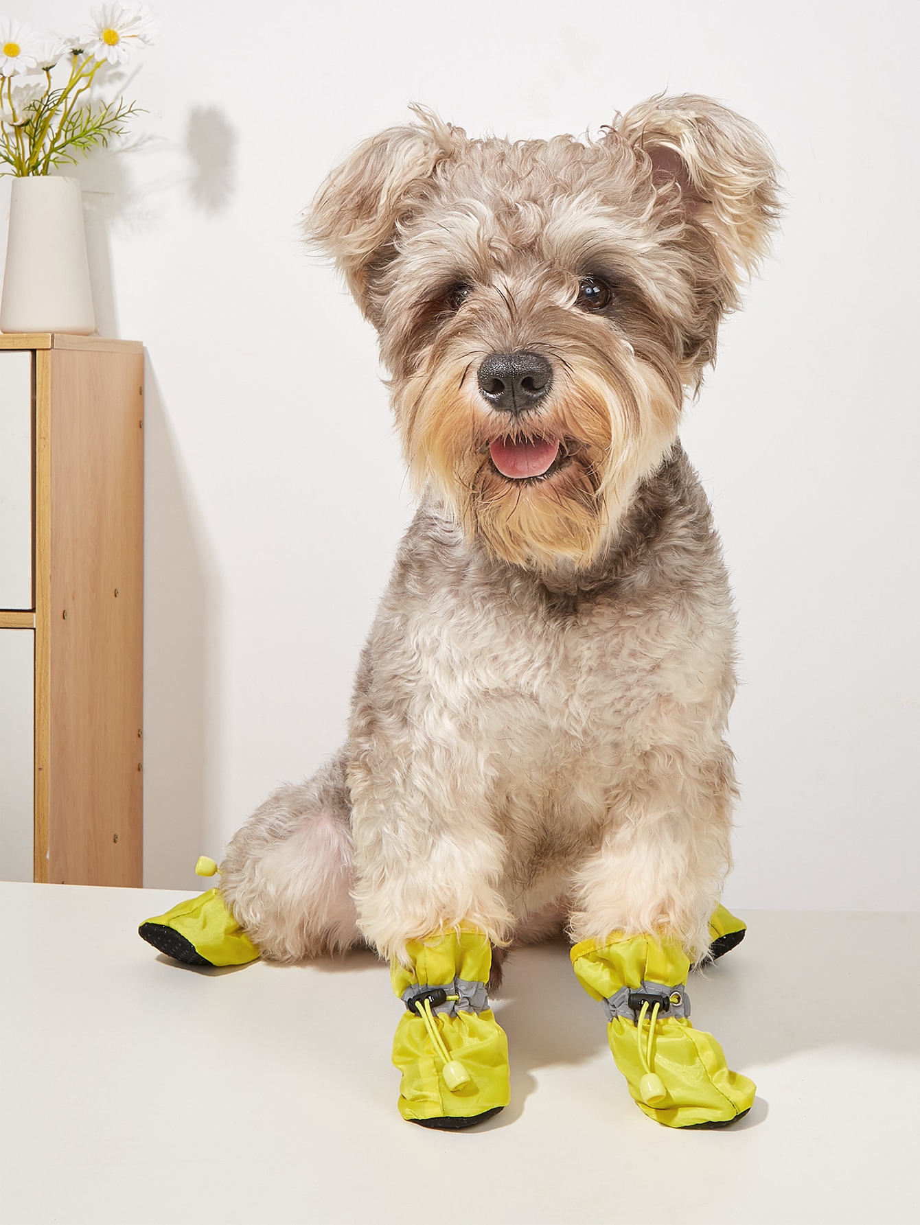 4 piezas Zapatos para mascota con cordón