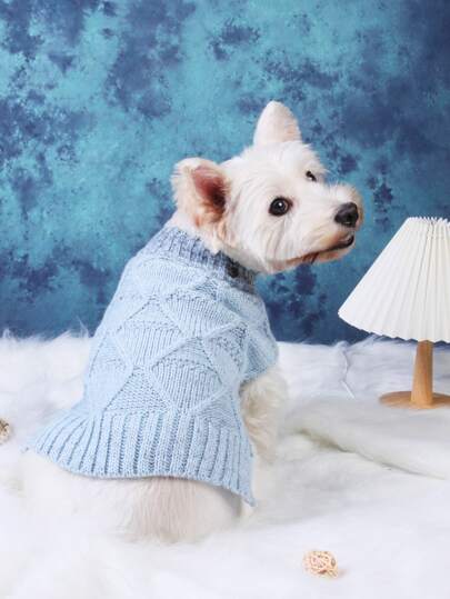 Pet Clothing | Fashion Pet Clothing | SHEIN USA