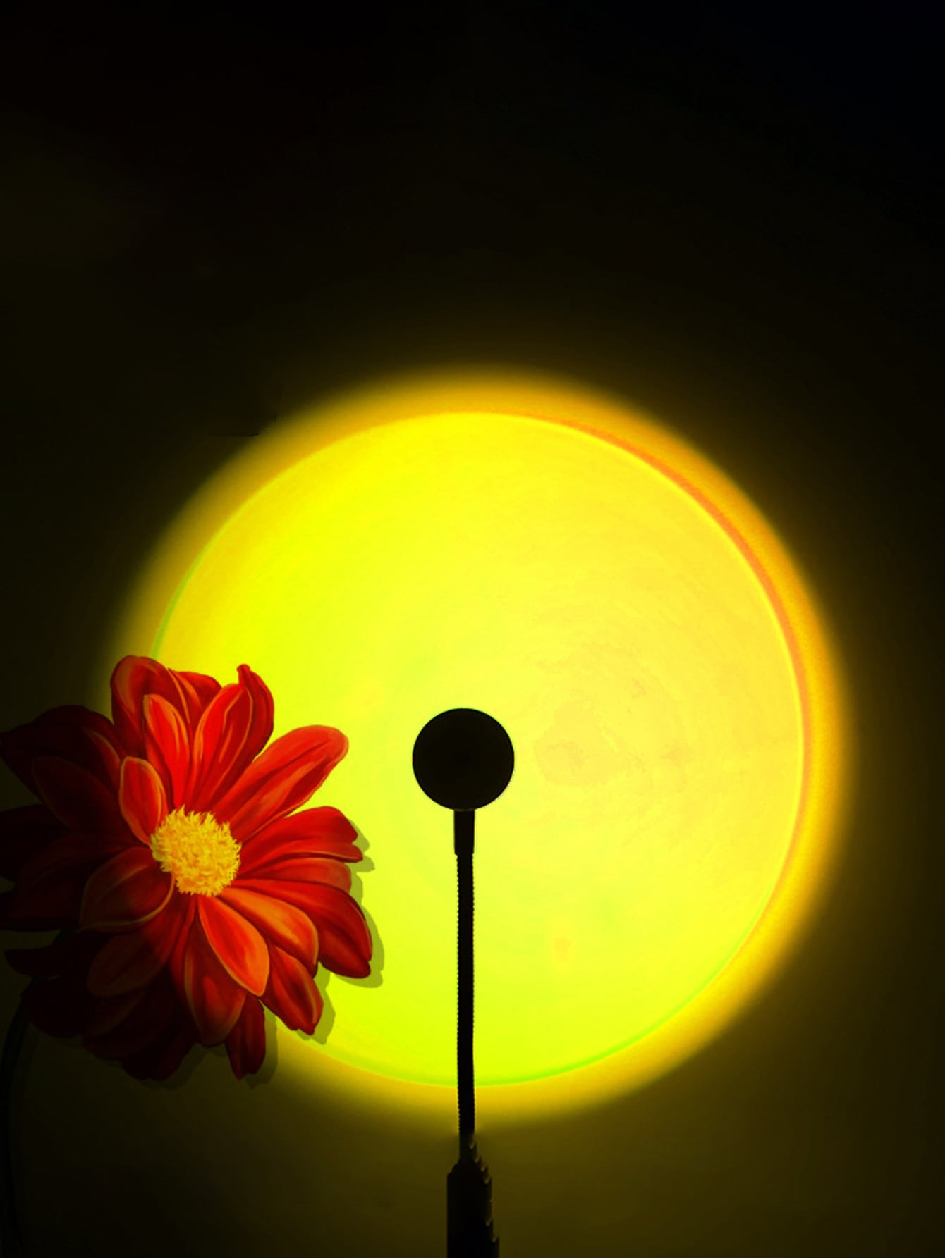 1pc LED Sunset Spotlight