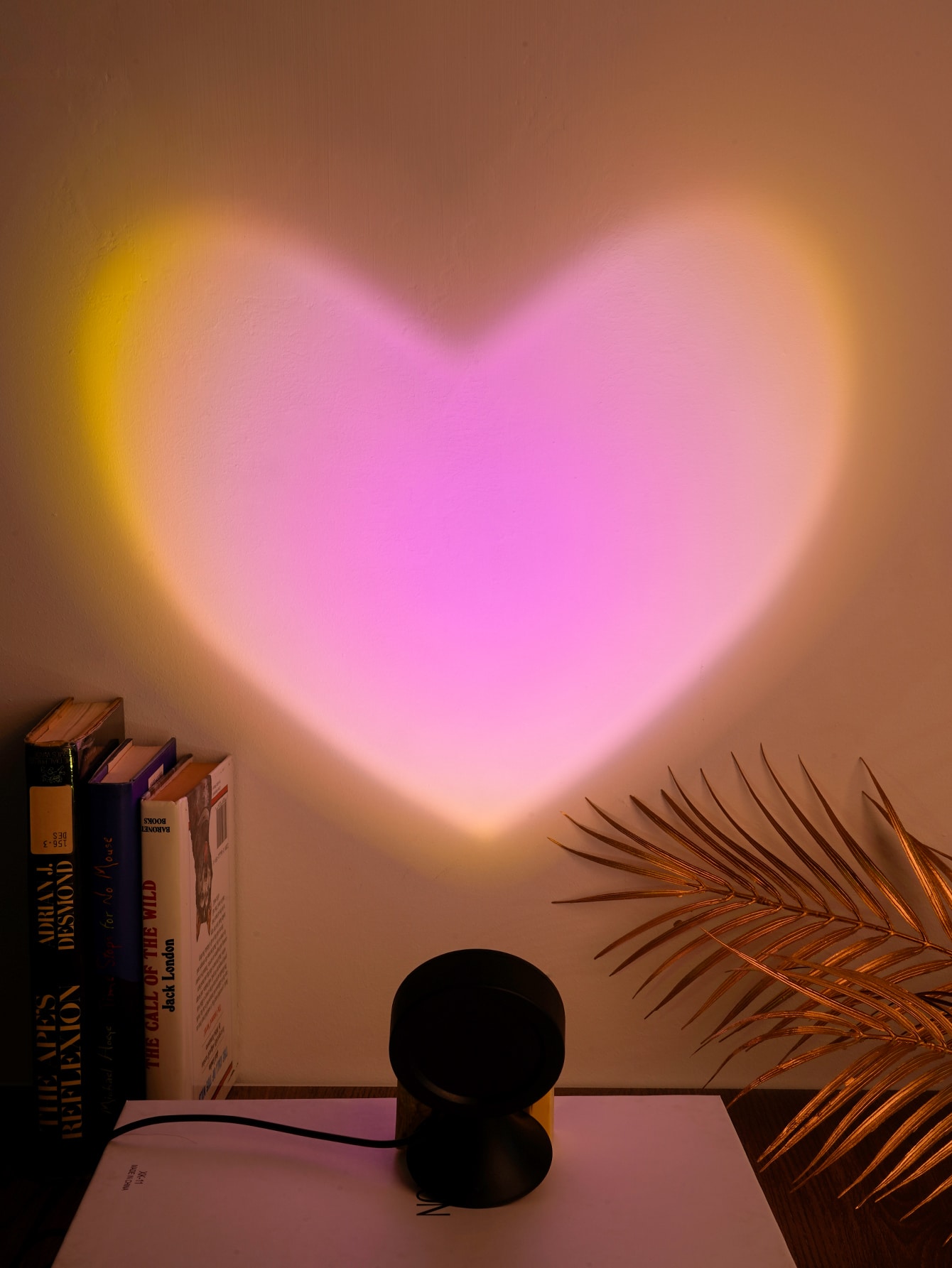 LED Heart Sunset Projection Light