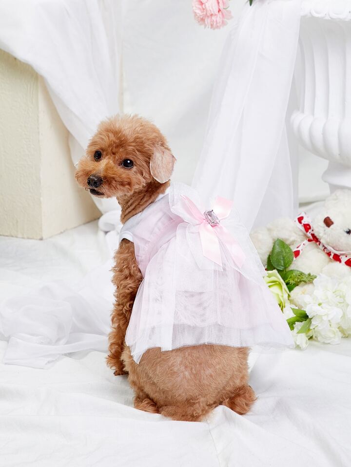 Puppy Wedding Dress