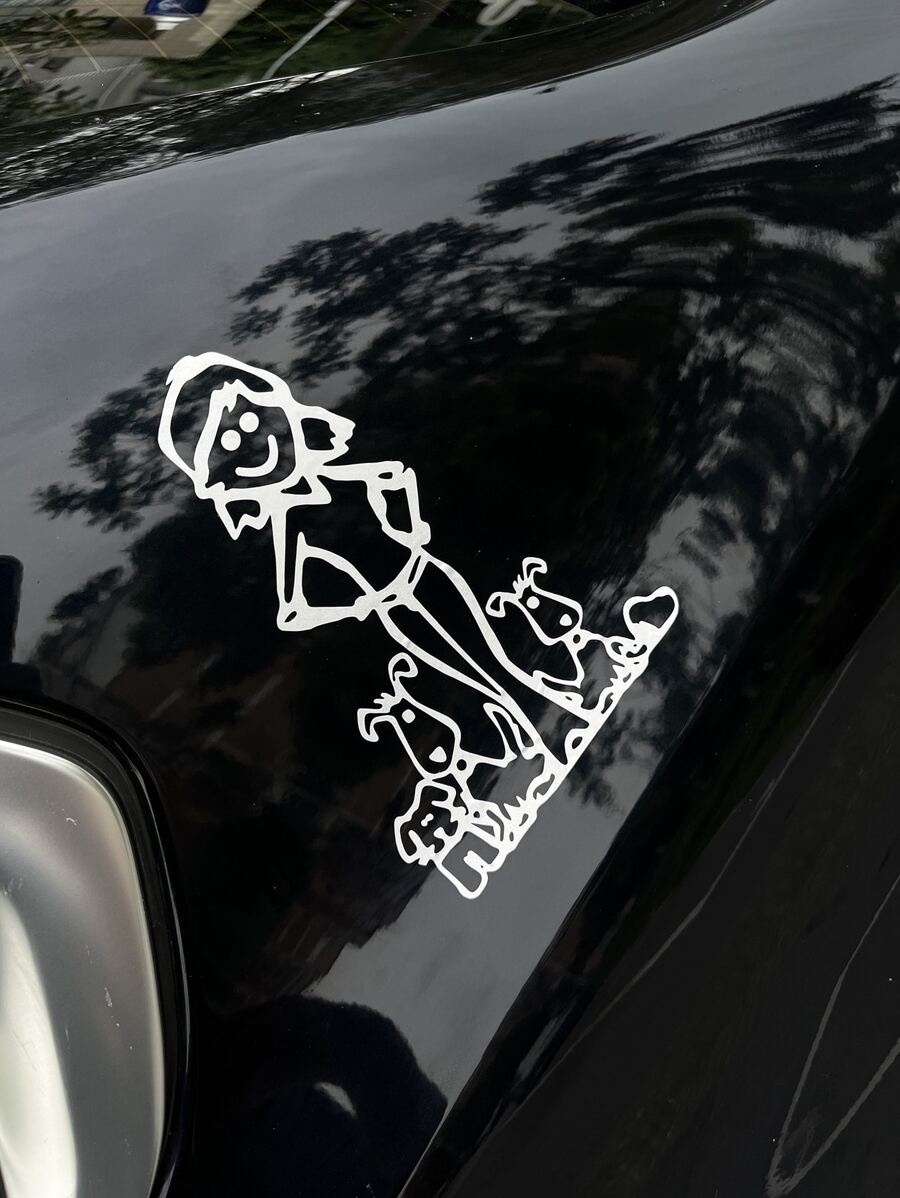 Figure Graphic Car Sticker | SHEIN USA