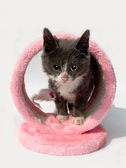 Cat Trees & Condos | Fashion Cat Trees & Condos | SHEIN USA