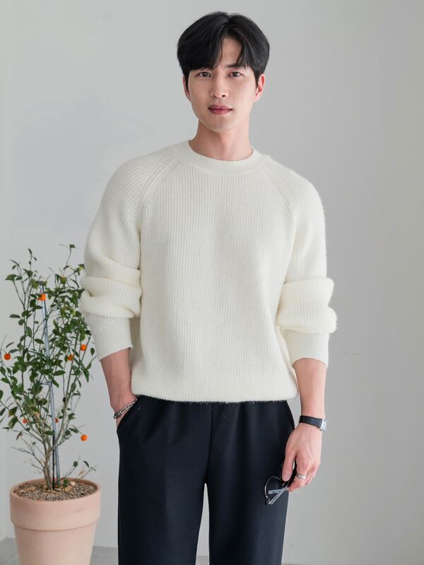 DAZY Men Raglan Sleeve Ribbed Knit Jumper | SHEIN UK