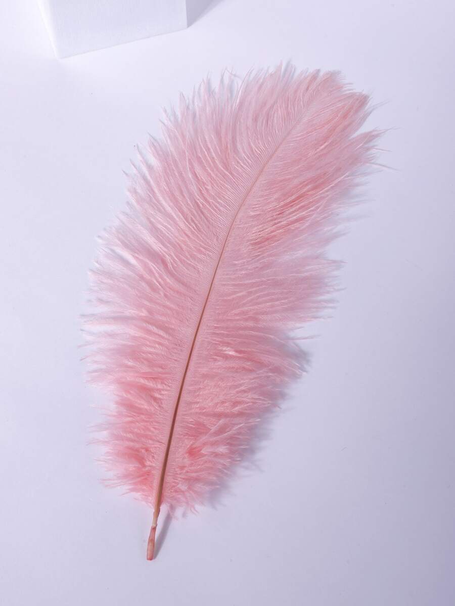 Feather Costume Prop | SHEIN USA