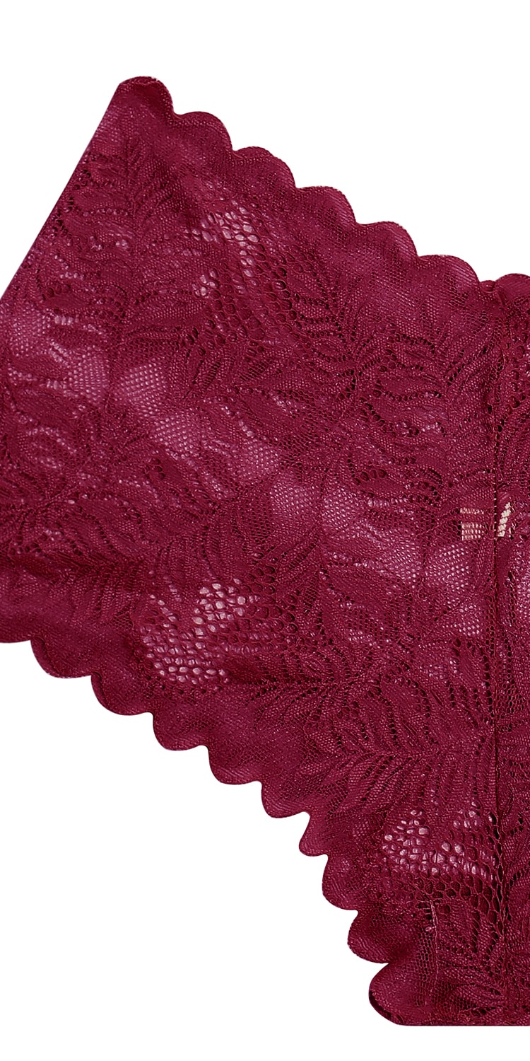 FINETOO Lace Scallop Trim Panty | SHEIN USA