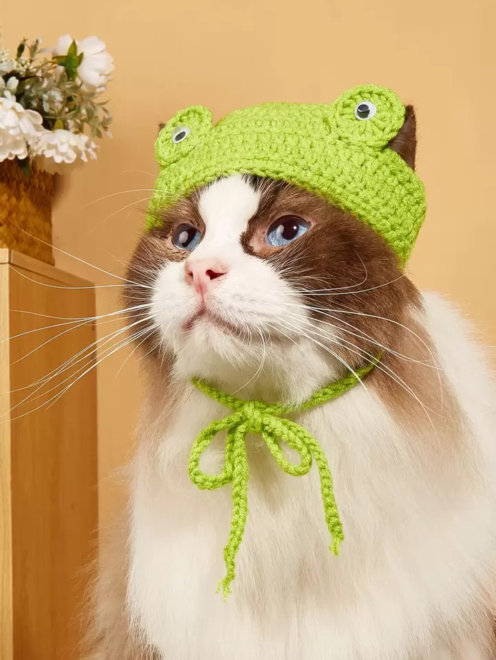 Cats In Frog Hats
