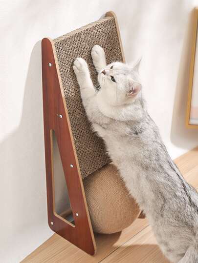 Search cat | SHEIN USA