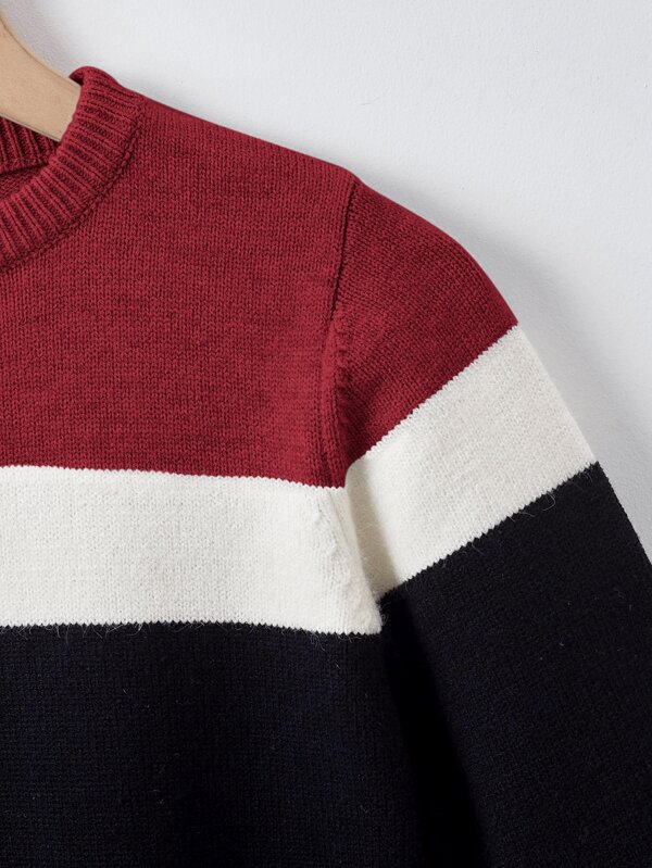 SHEIN Kids EVRYDAY Boys Color Block Sweater | SHEIN