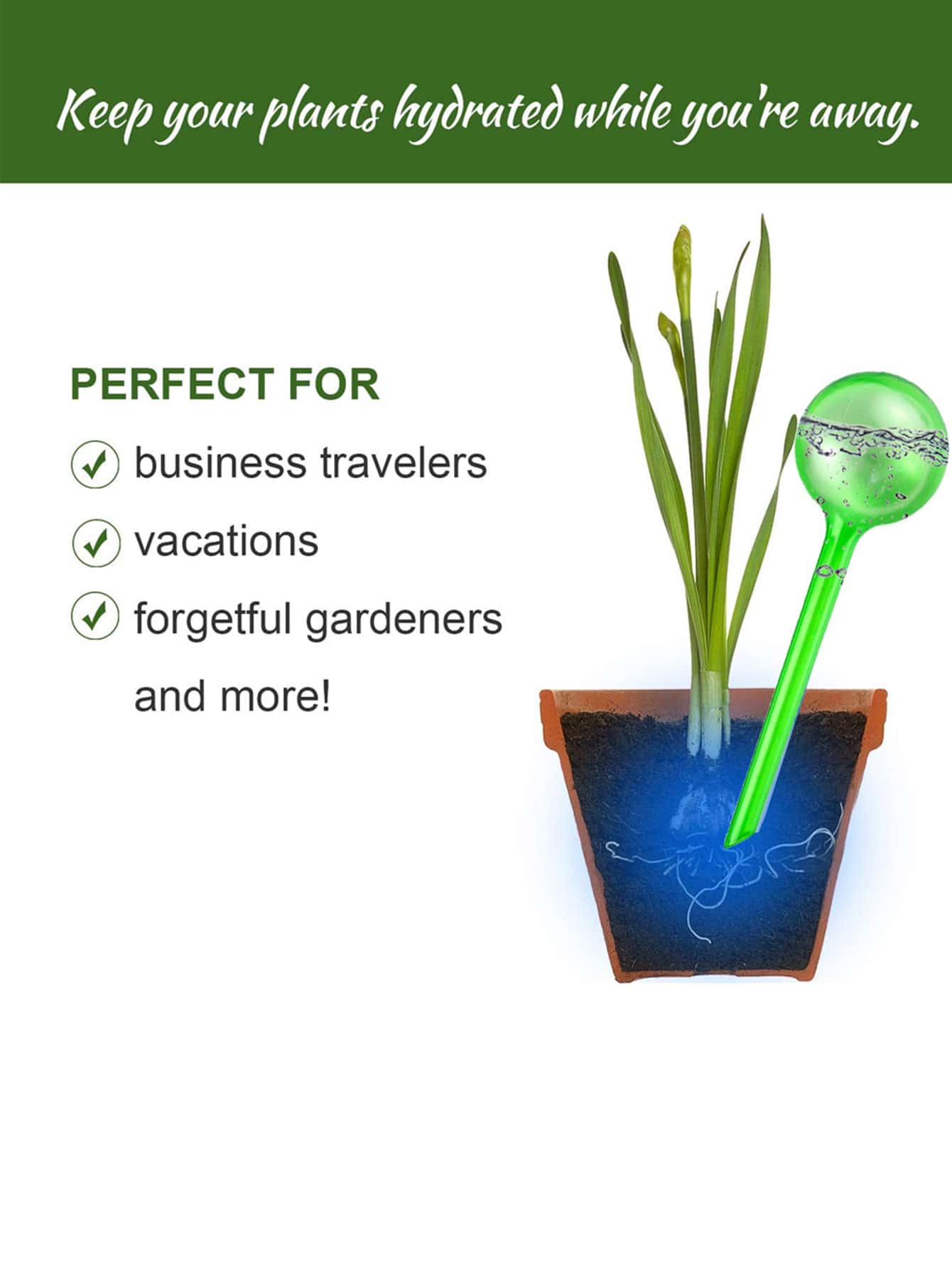 1pc Clear Ball Design Random Automatic Watering Device, Self-watering ...
