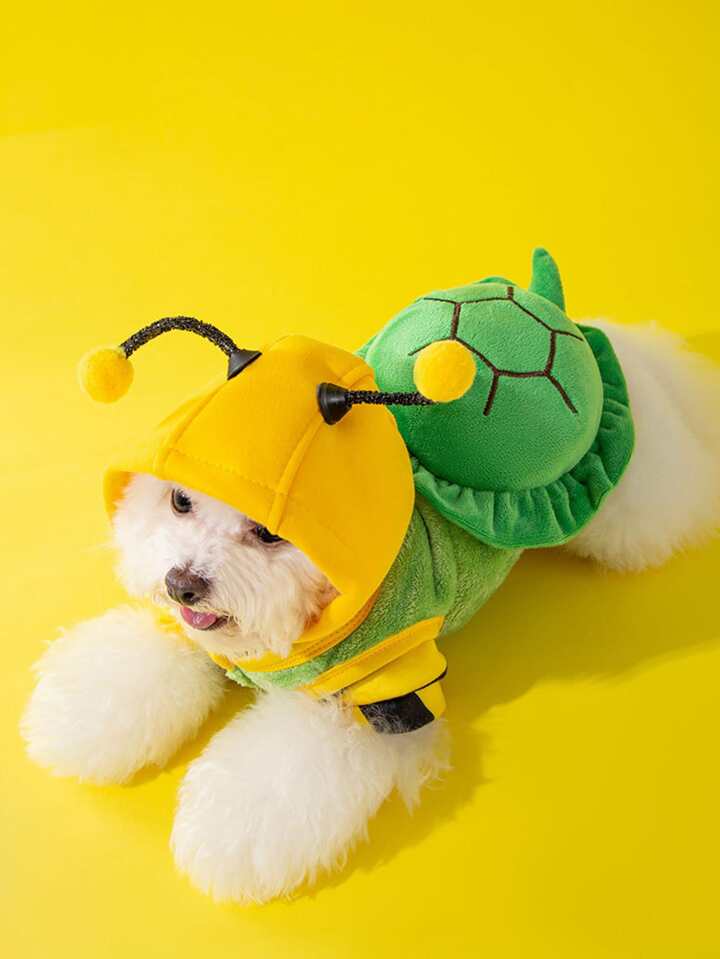 Dog Turtle Costume Pug In Turtle Costume Stock Photo Download Image