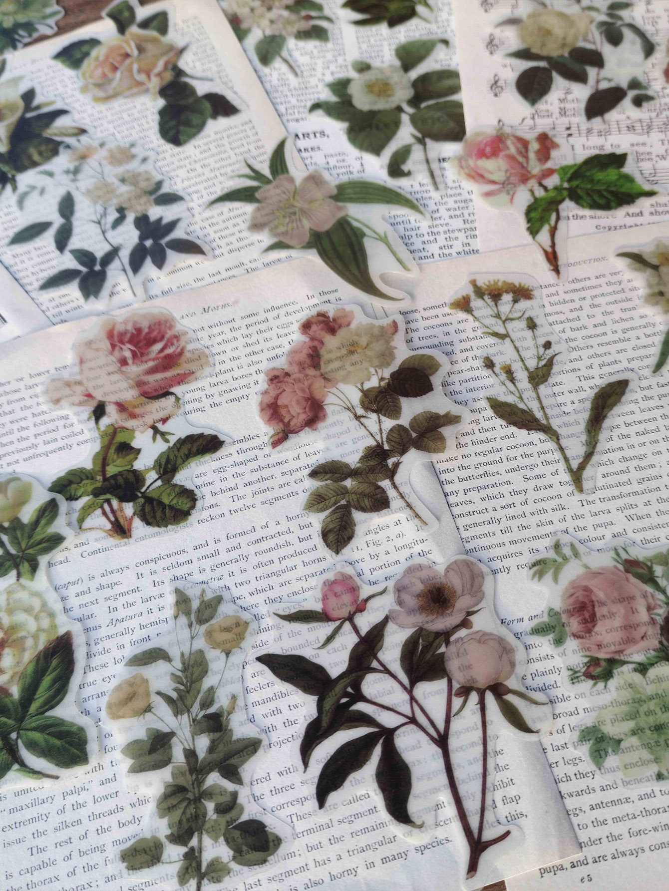 60pcs Flower Pattern Sticker