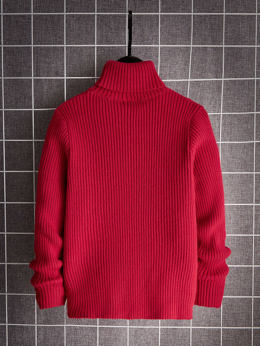 SHEIN Tween Boy Turtleneck Ribbed Knit Sweater | SHEIN USA SHEIN Tween Boy Turtleneck Ribbed Knit Sweater | SHEIN USA