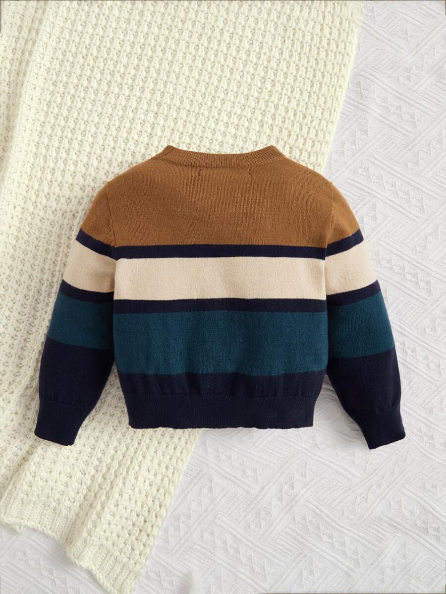 SHEIN Baby Boy Color Block Sweater | SHEIN USA