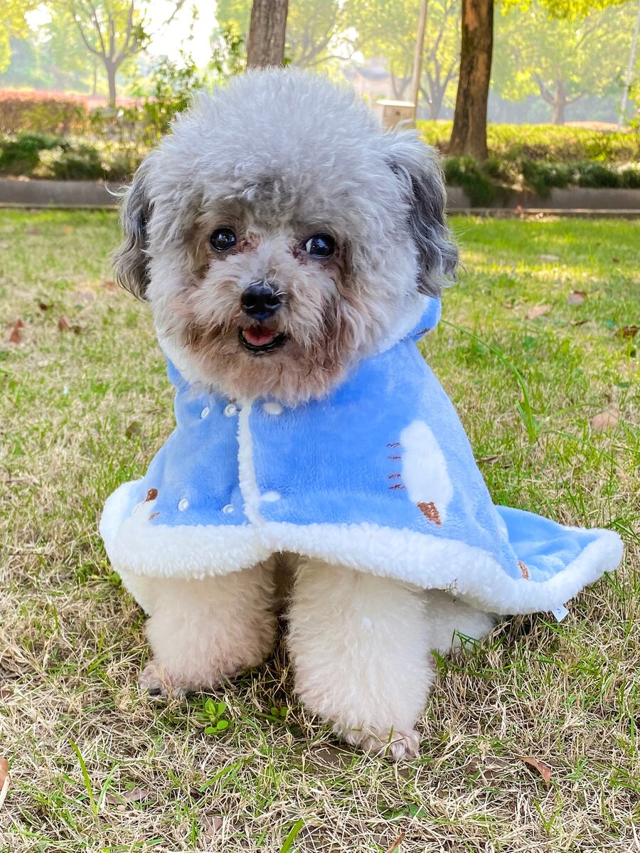 1pc Blue Cotton Multi-Use Pet Cloak/Cape for Sale Australia| New ...