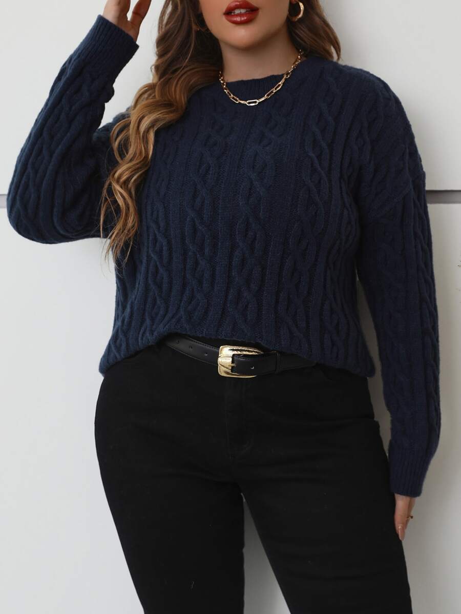 SHEIN LUNE Plus Cable Knit Drop Shoulder Sweater | SHEIN USA