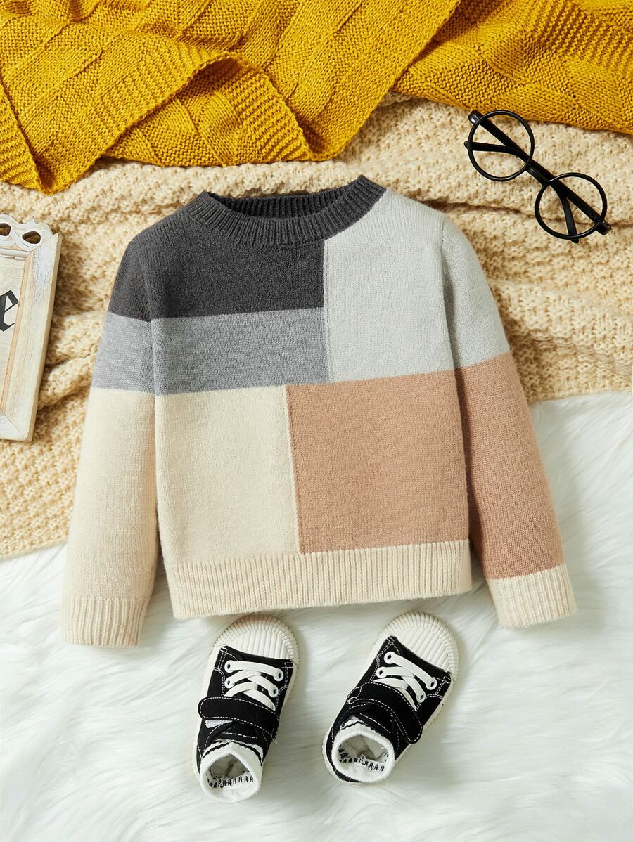 SHEIN Baby Boy Color Block Round Neck Sweater | SHEIN USA