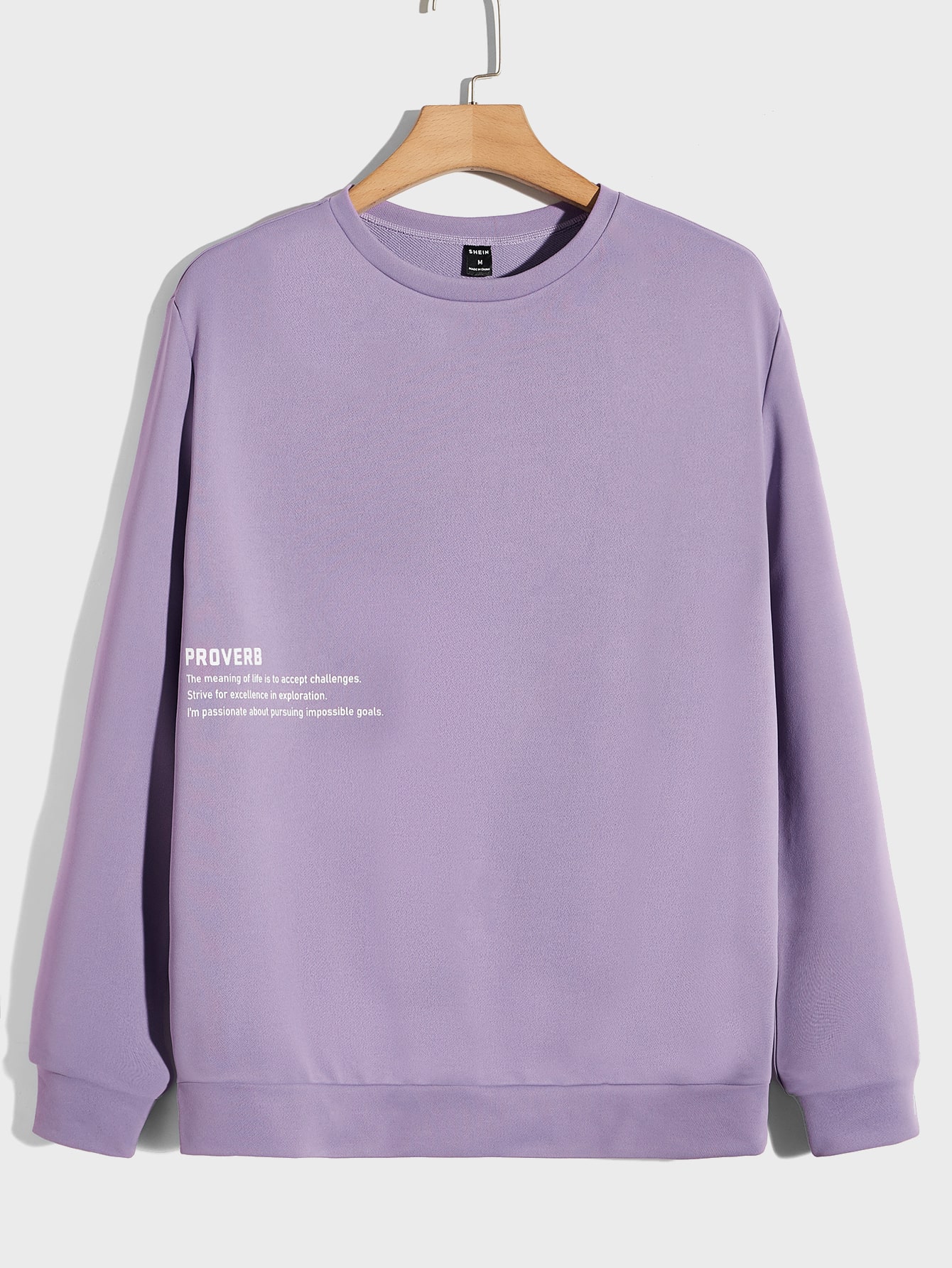 SHEIN Men Slogan Graphic Pullover