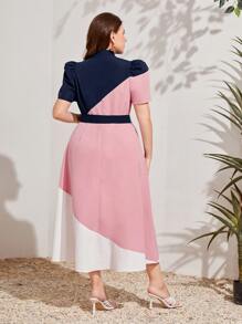 Mulvari Plus Color Block Belted Dress | SHEIN USA