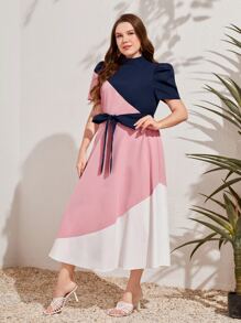Mulvari Plus Color Block Belted Dress | SHEIN USA
