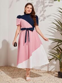 Mulvari Plus Color Block Belted Dress | SHEIN USA