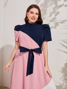 Mulvari Plus Color Block Belted Dress | SHEIN USA