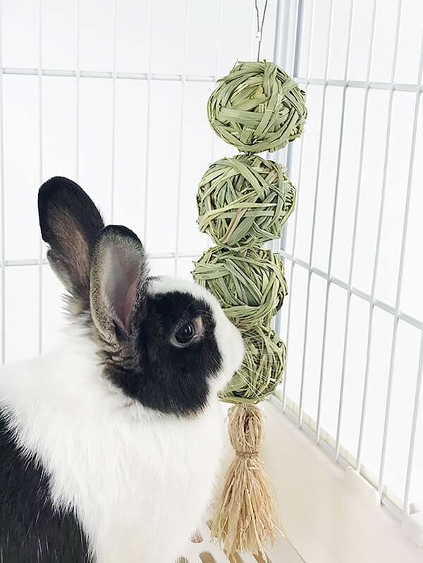 1pc Rabbit Guinea Pig Chew Toy For Teeth Grinding, Small Animal Pet ...