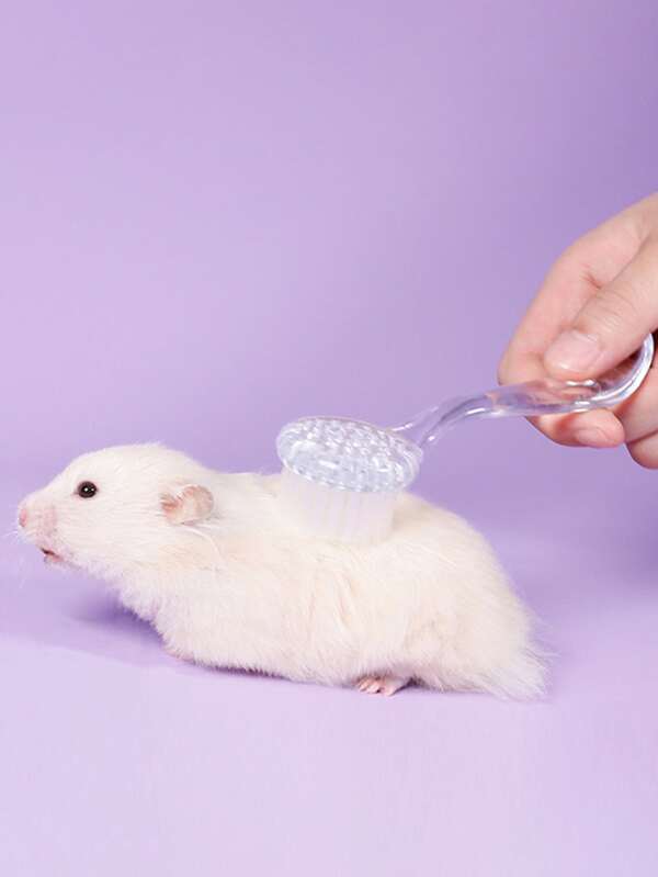 1pc Clear Hamster Massage Brush | SHEIN UK