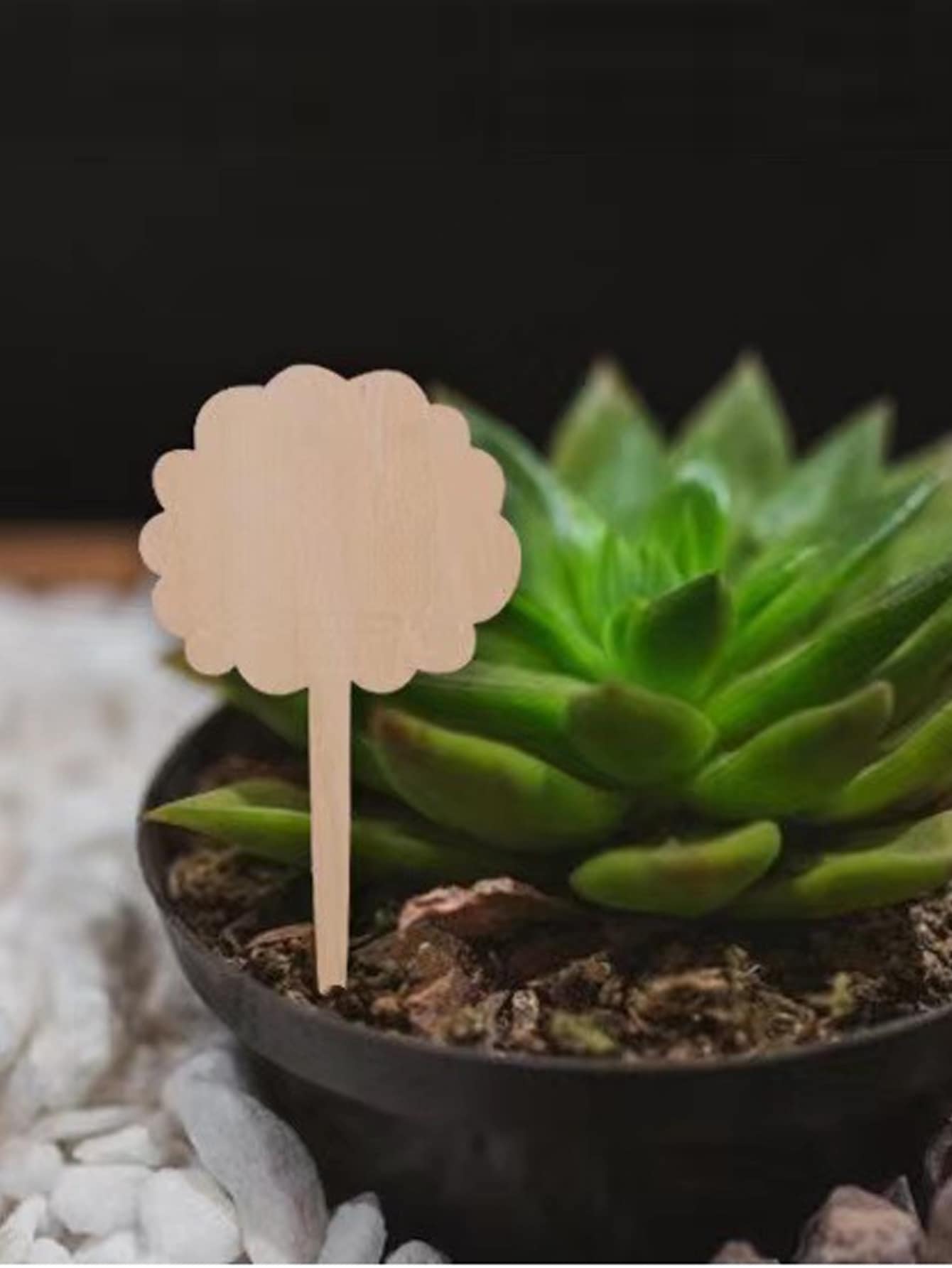 10Pcs Wooden Garden Plant Labels -Friendly Flower Plant Varieties ...