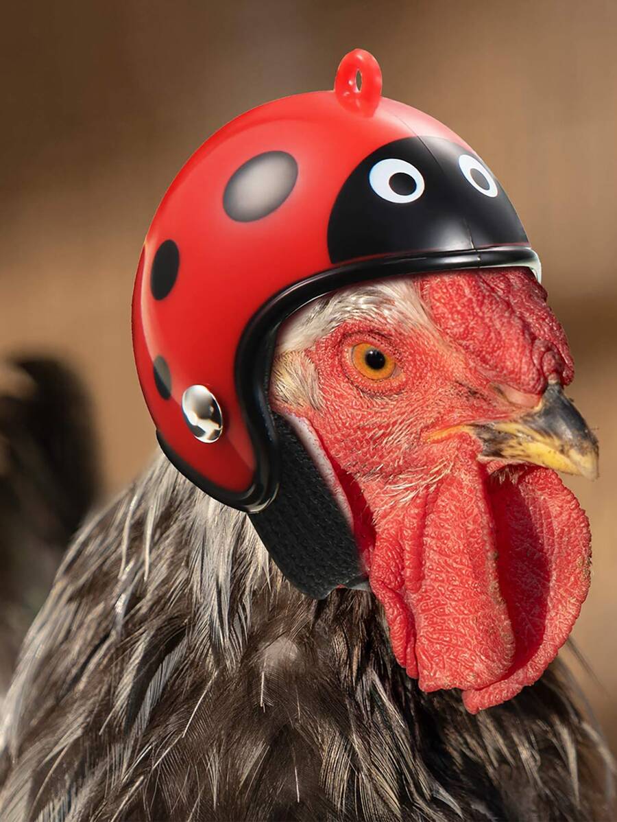 1pc Cartoon Graphic Chicken Helmet For Chicken For Protector | SHEIN USA