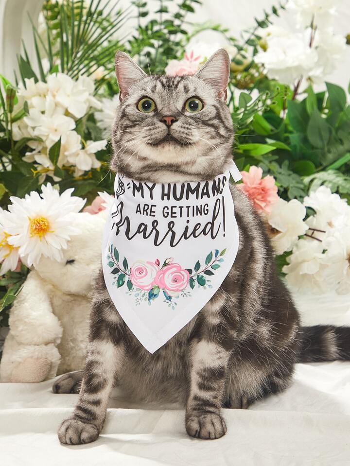 Cats Getting Married To Dogs