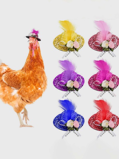 Search chicken | SHEIN USA