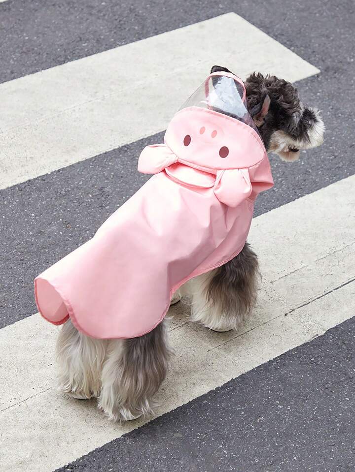 Pig In Raincoat