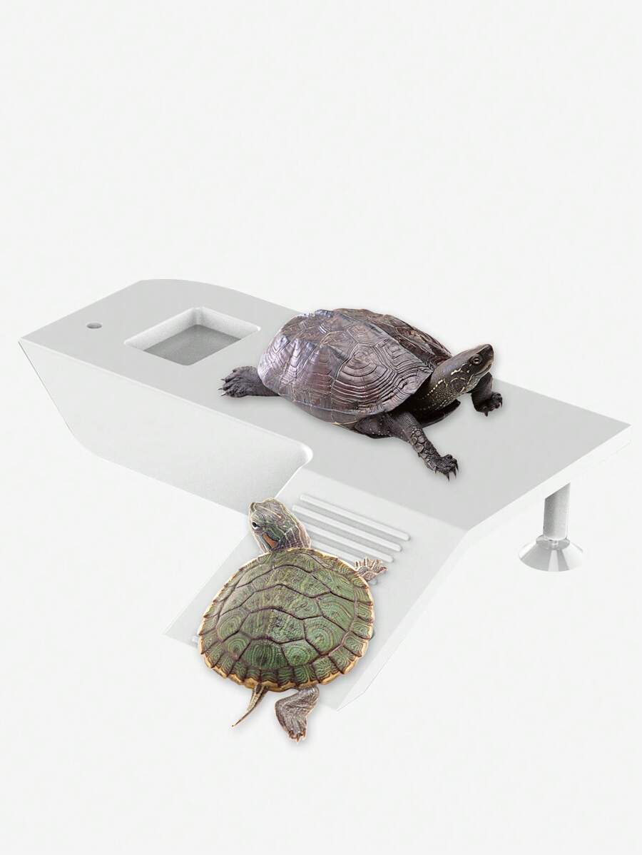 1pc Turtle Storage Rack, White Creative Turtle Storage Rack For Turtle ...