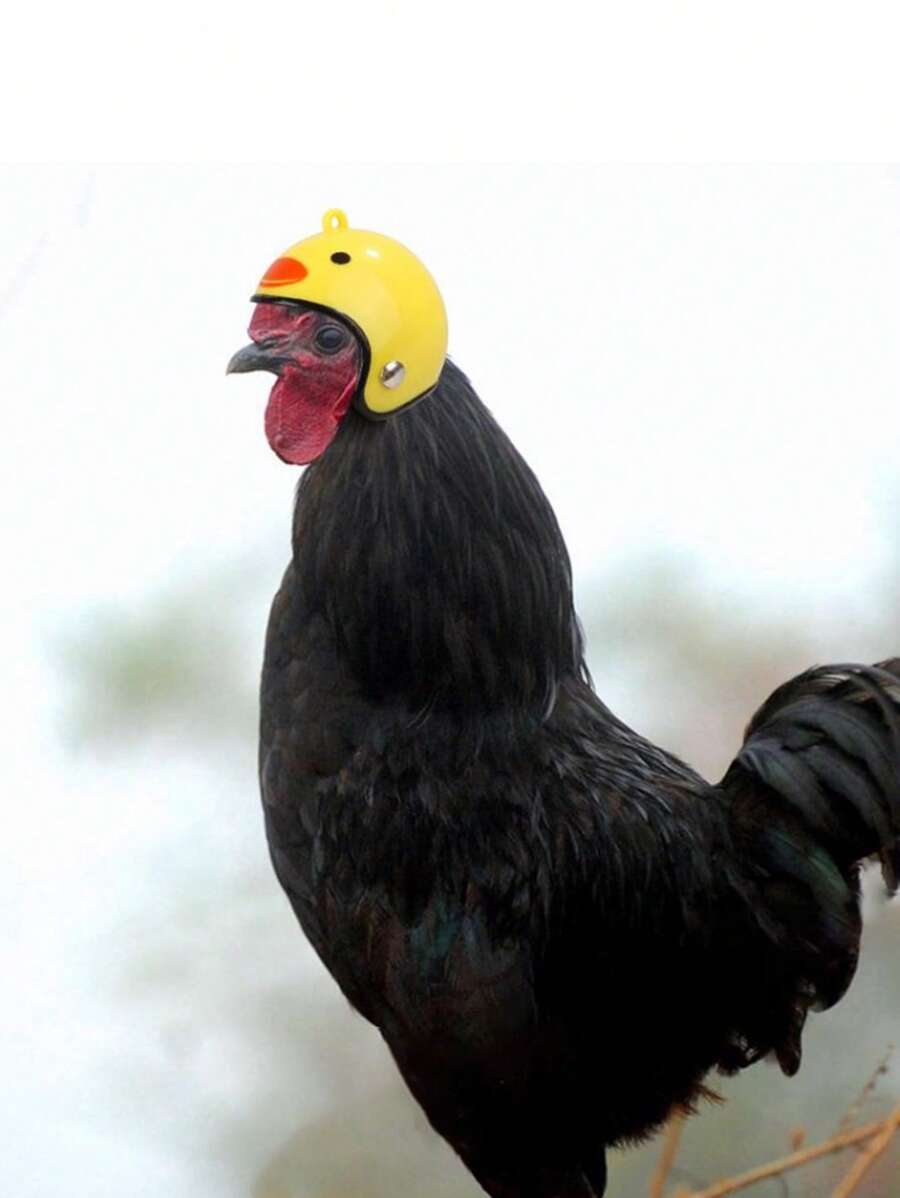 1pc Cartoon Graphic Chicken Helmet For Chicken For Protector | SHEIN USA