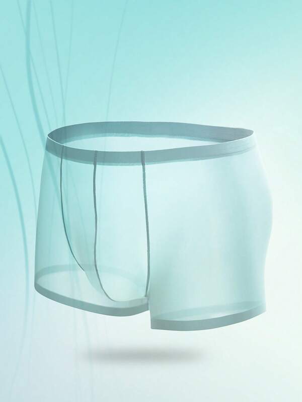 Men Contrast Binding Sheer Boxer Brief | SHEIN USA